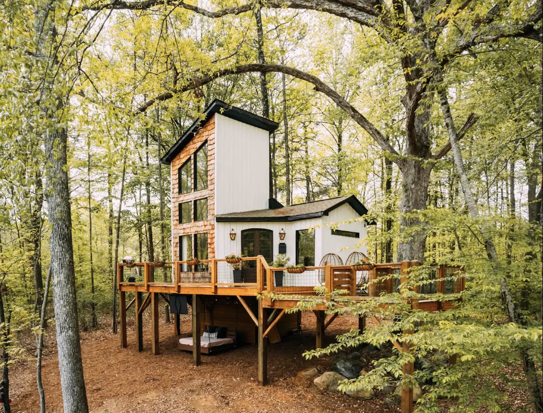 Inside the Carolina Treehouse That Redefines Relaxation and Beauty